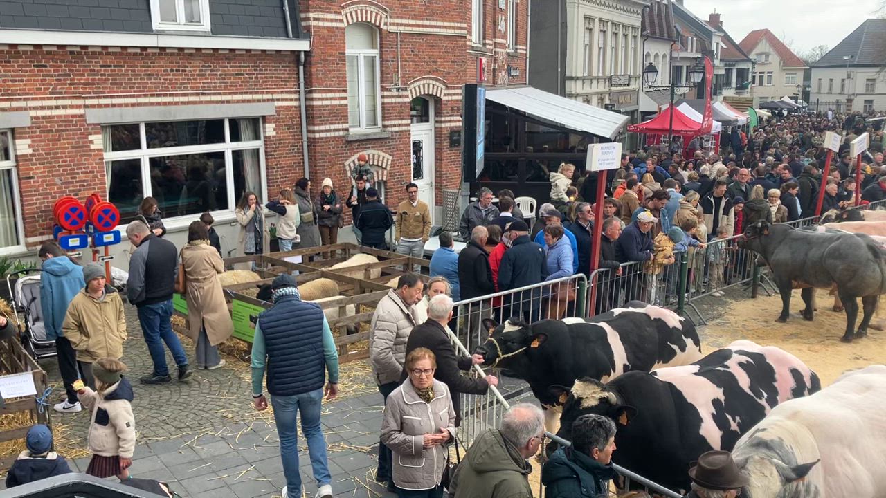 Vette Veemarkt 2025