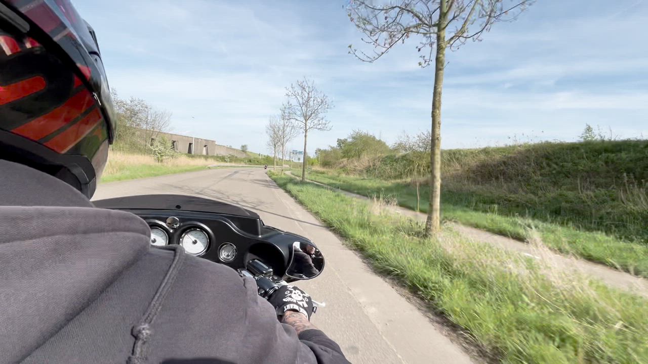 Motorrit The Tribe