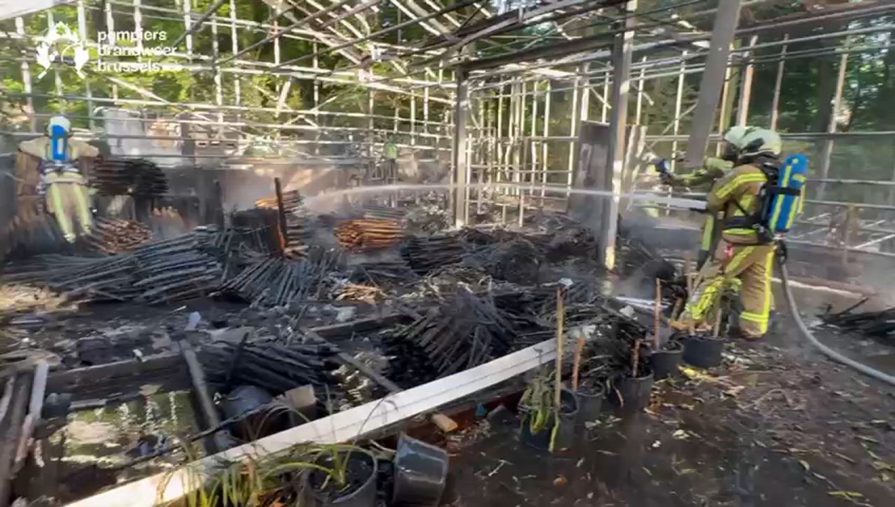 Brand in serres van het Josaphatpark